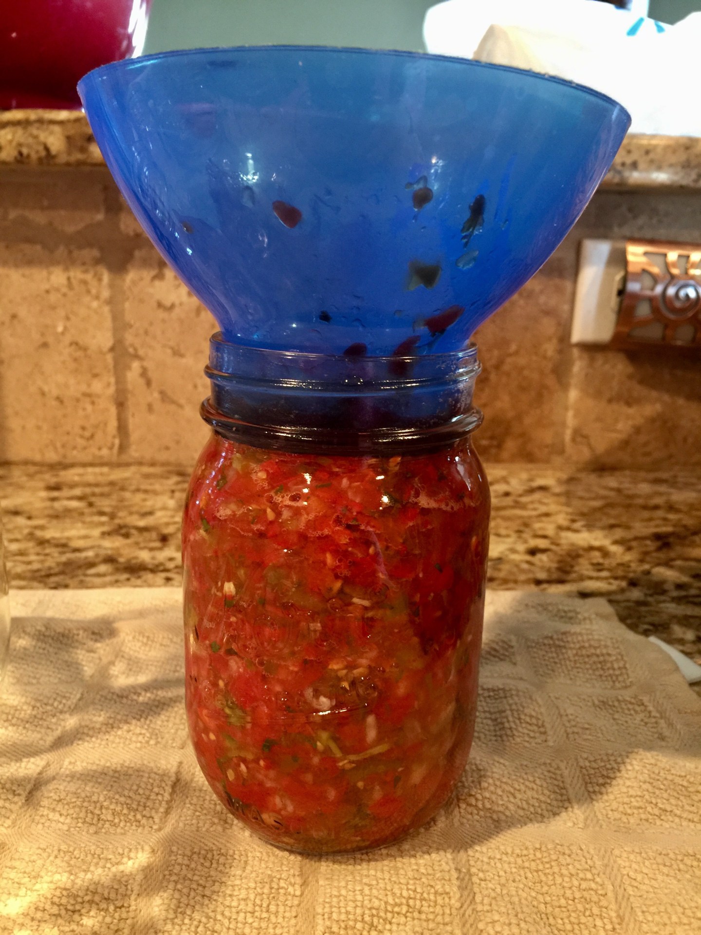 Easy No Peel Salsa For Canning | Blonde Bitchin' West Texas Kitchen
